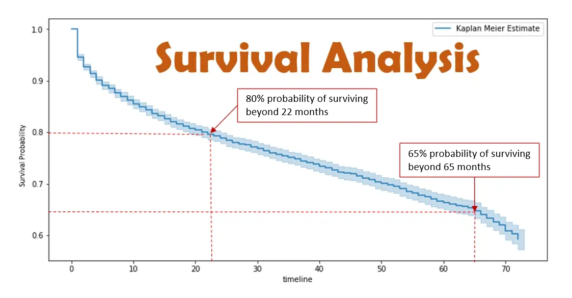 Survival Analysis — Modules Showcase
